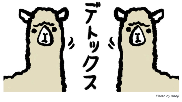 ヒーラーの心と体を整える 「1日2食の生活で感じる変化とオートファジーの効果」｜稲月シロ ヒーリングサロンHOOLOLI｜coconalaブログ